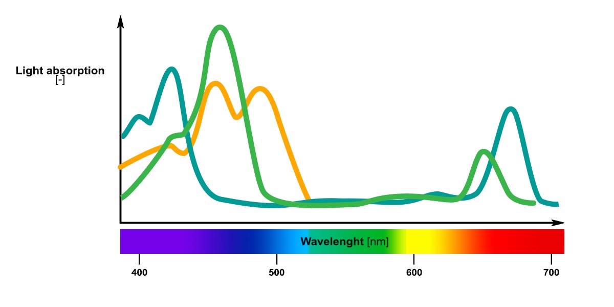 LAMBDA LUMO: Light intensity control for phototrophic cultures